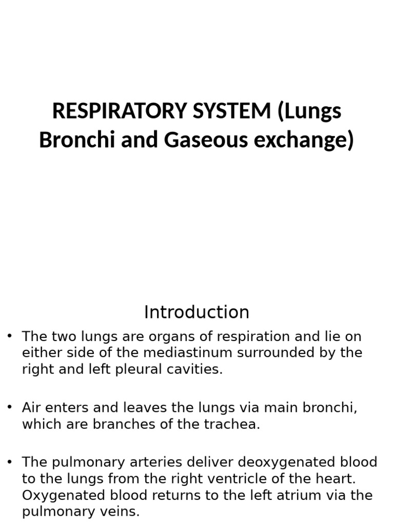Respiratory System New | PDF | Lung | Respiratory System
