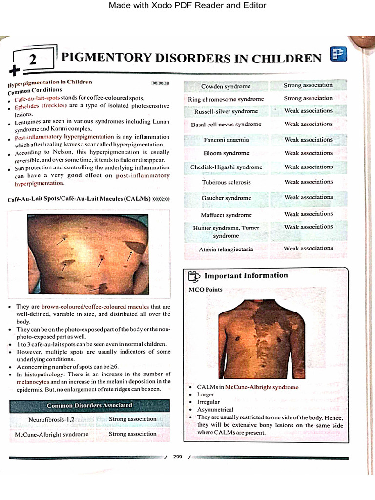 Prepladder Notes 2 | PDF | Text | Graphics Software