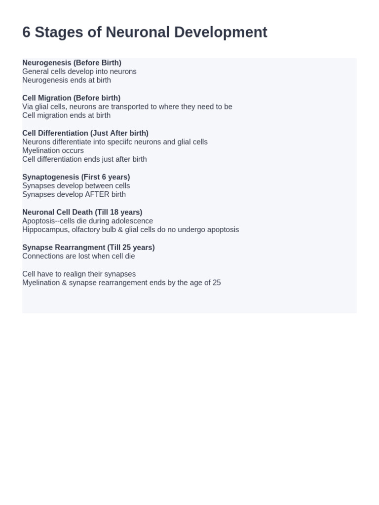 5 Stages of Human Brain Development | PDF | Brain | Memory