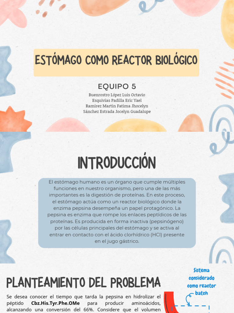 Estomago Como Reactor Biologico | PDF | Péptido | Estómago