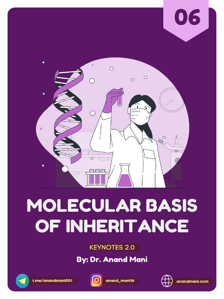 Molecular Basis of Inheritance-1 | PDF