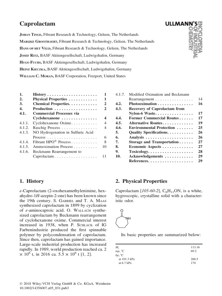 Caprolactam Production Overview | PDF | Ammonia | Nitric Acid