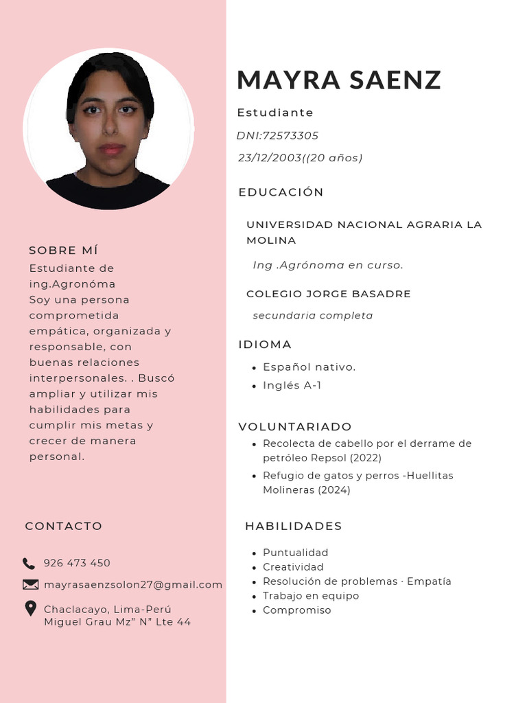 CV Con Foto Trabajo Formal Joven Blanco Neutro | PDF