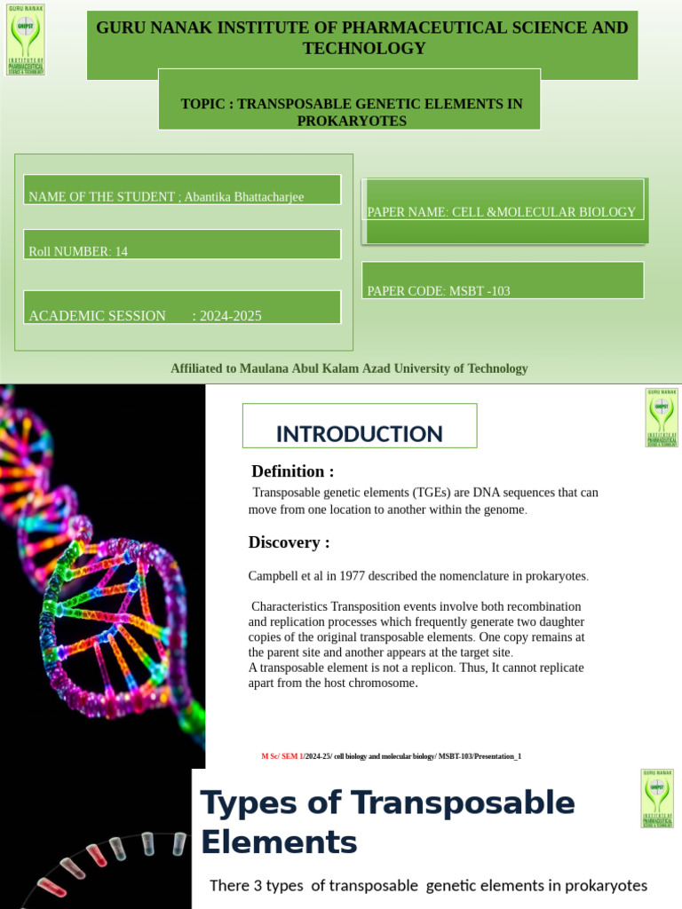 Abantika MSC Biotech Cell Biology | PDF | Transposable Element | Gene