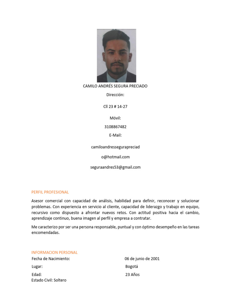 Andres Segura Hoja de Vida | PDF | Economias | Business