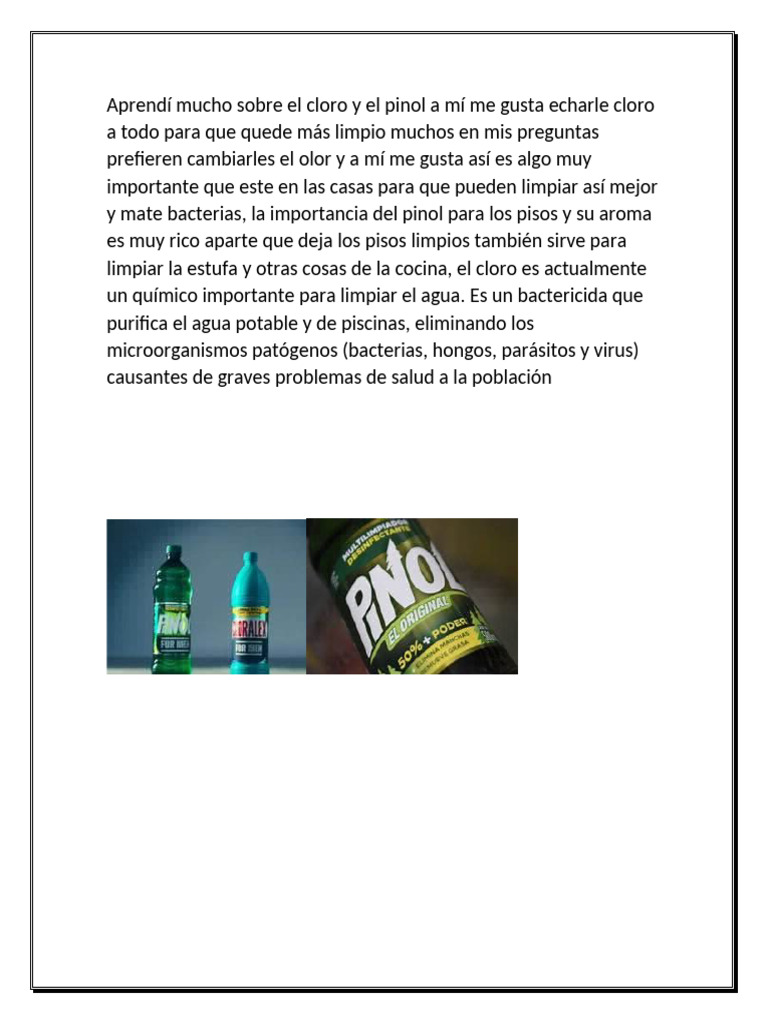 Importancia del Cloro y Pinol en Casa | PDF