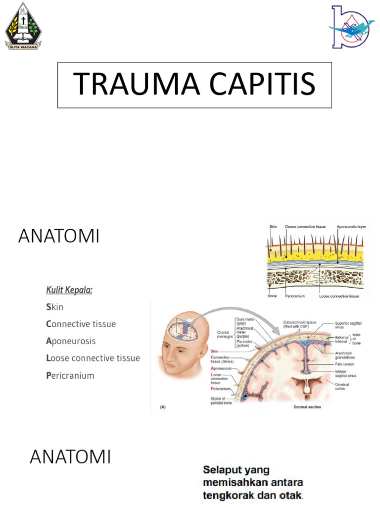 Radiologi: Trauma Kapitis | PDF