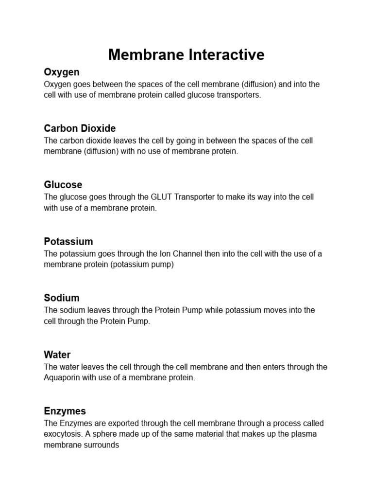 Membrane Interactive | PDF