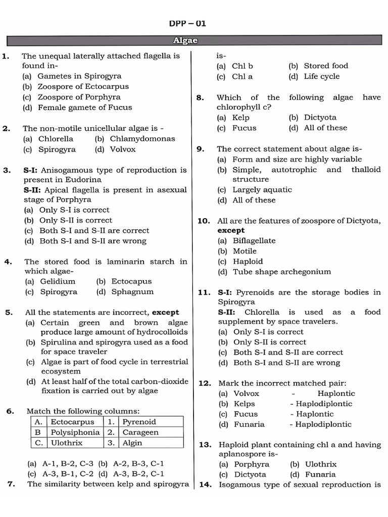 Plant Kingdom DPP 01 | PDF
