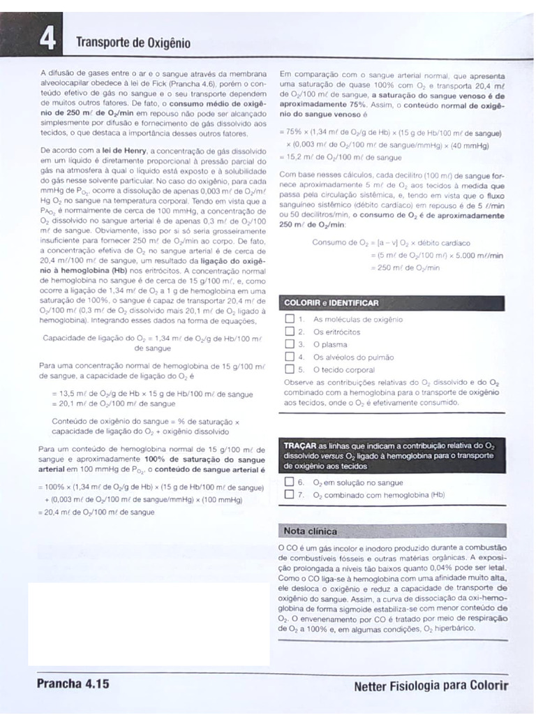 Respiratorio Netter | PDF