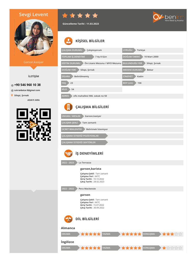 CV 2 | PDF