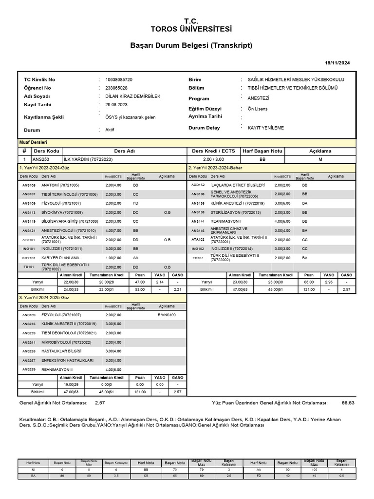 Transkript - 11 - 18 - 2024 1 - 19 - 22 PM | PDF