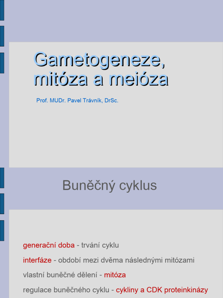 GAMETOGENEZE_MITOZA_A_MEIOZA | PDF