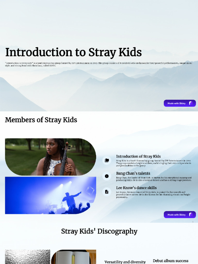 Stray Kids | PDF