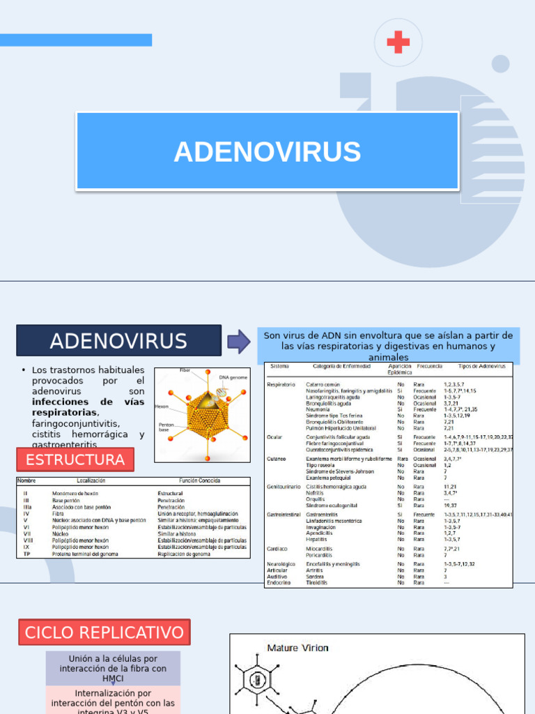 Adenovirus: Infecciones y Patogenia | PDF | Adenoviridae | Microbiología