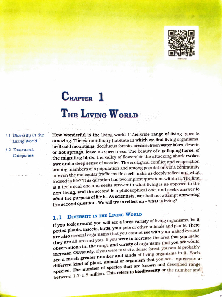 Living World | PDF
