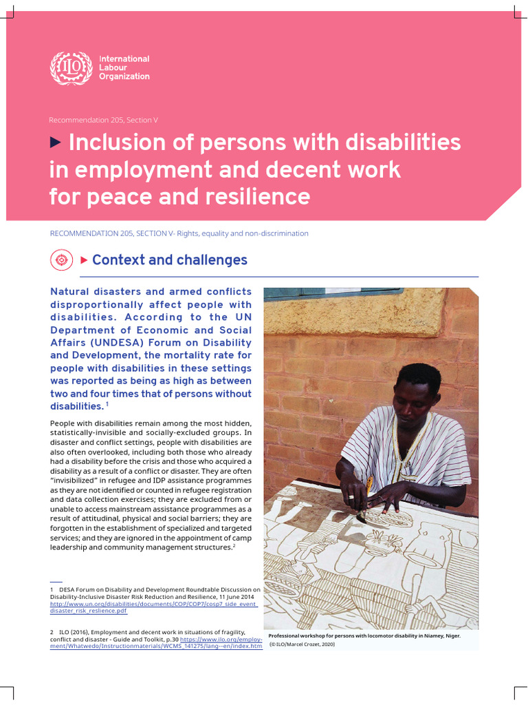SECTION V - Inclusion of Persons With Disabilities | PDF | Disability ...