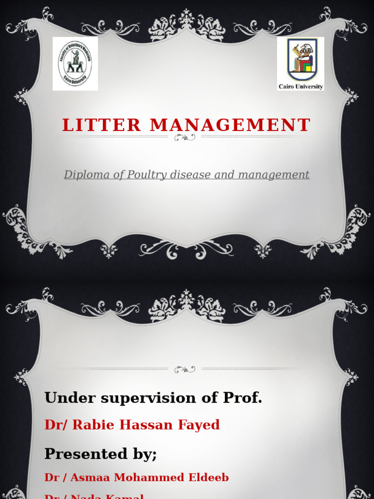 Litter management | PDF | Poultry Farming