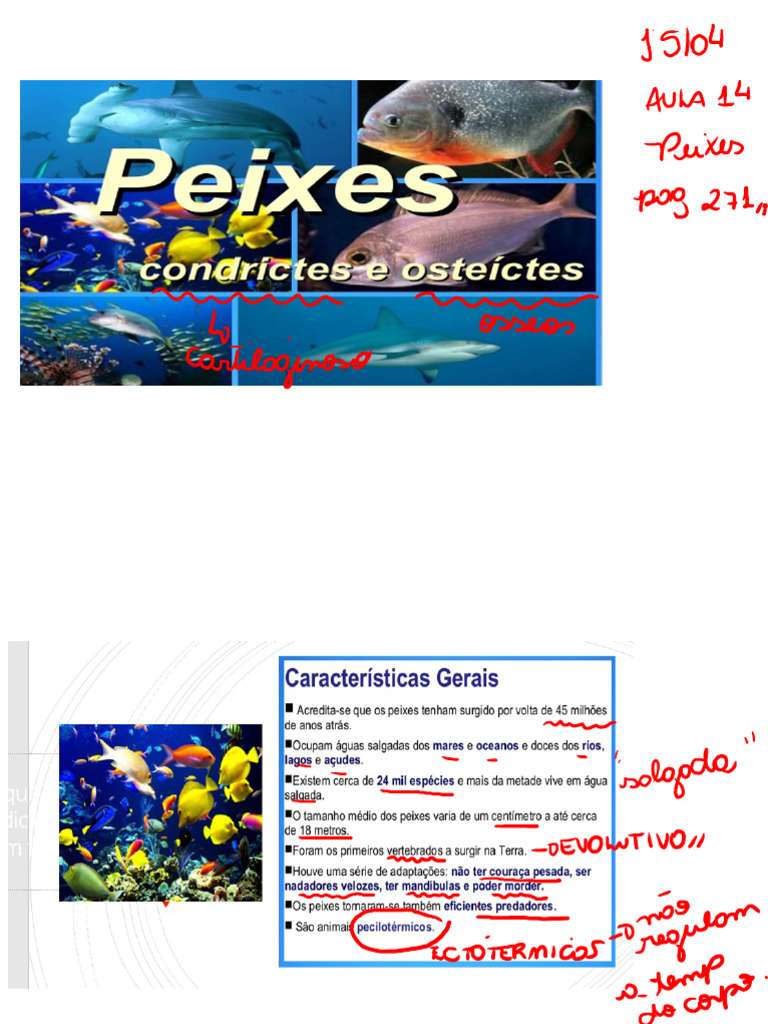 Peixes Explicação | PDF