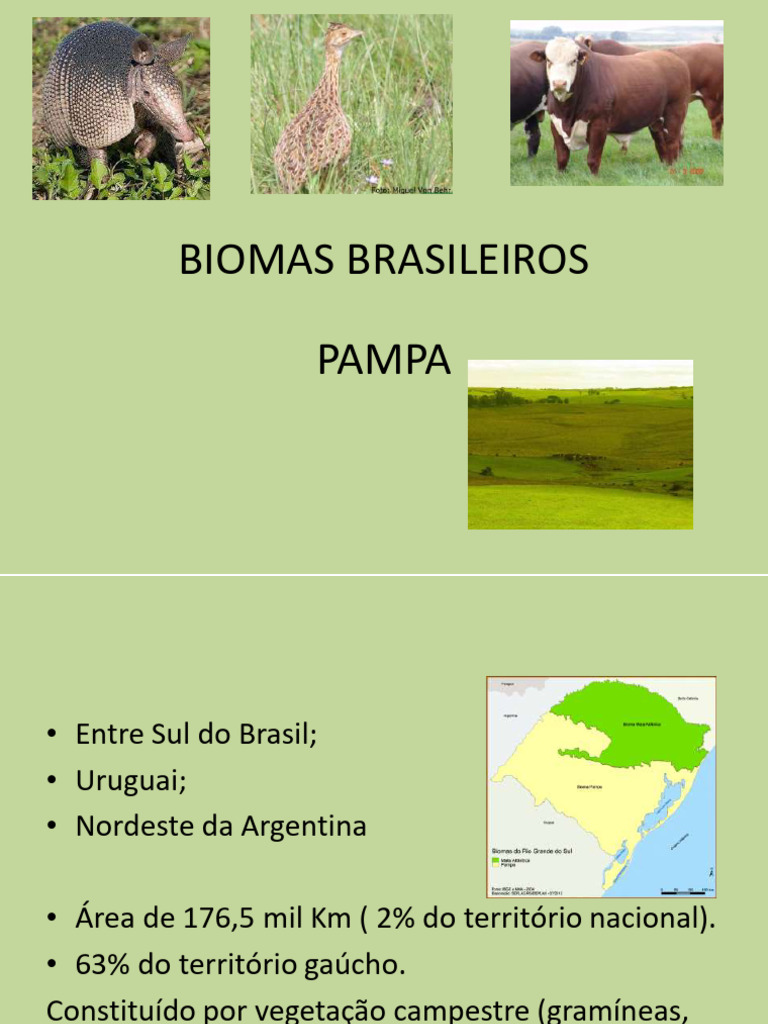 Bioma Pampa - Biologia | PDF | Chuva | Inverno