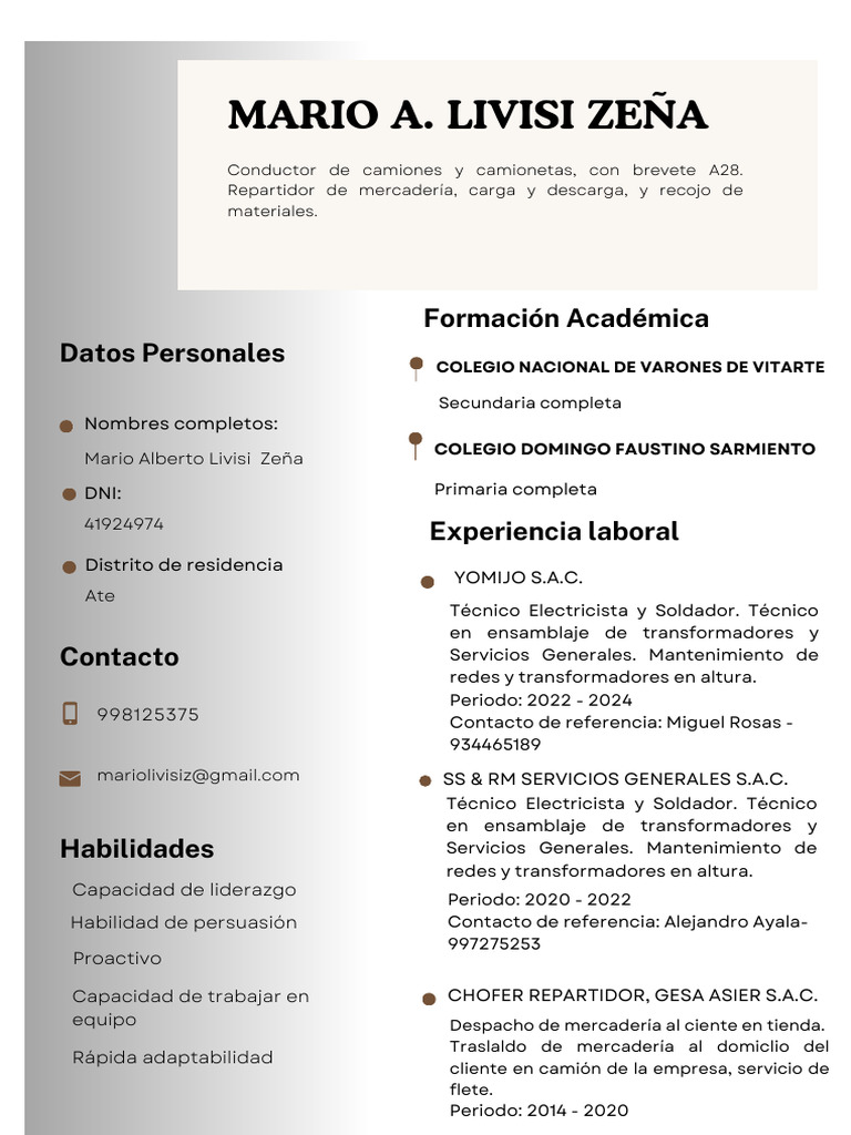 CV - Mario Livisi | PDF
