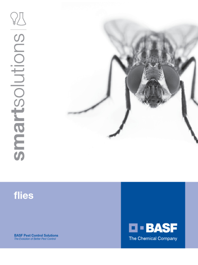 BASF-793-Flies Smart Solution-PO | PDF | Fly | Pest Control