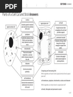 Parts of A Cell Cut and Stick Worksheet | PDF | Cell (Biology) | Cytoplasm