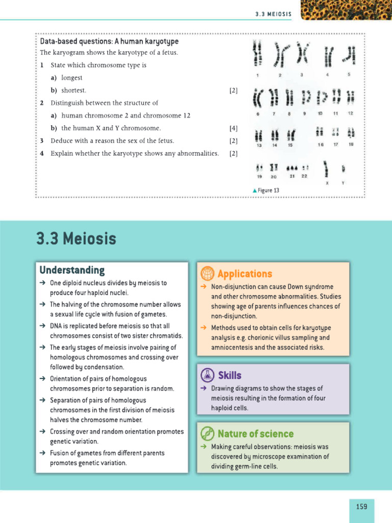 Meiosis Ib Biology Unit | PDF