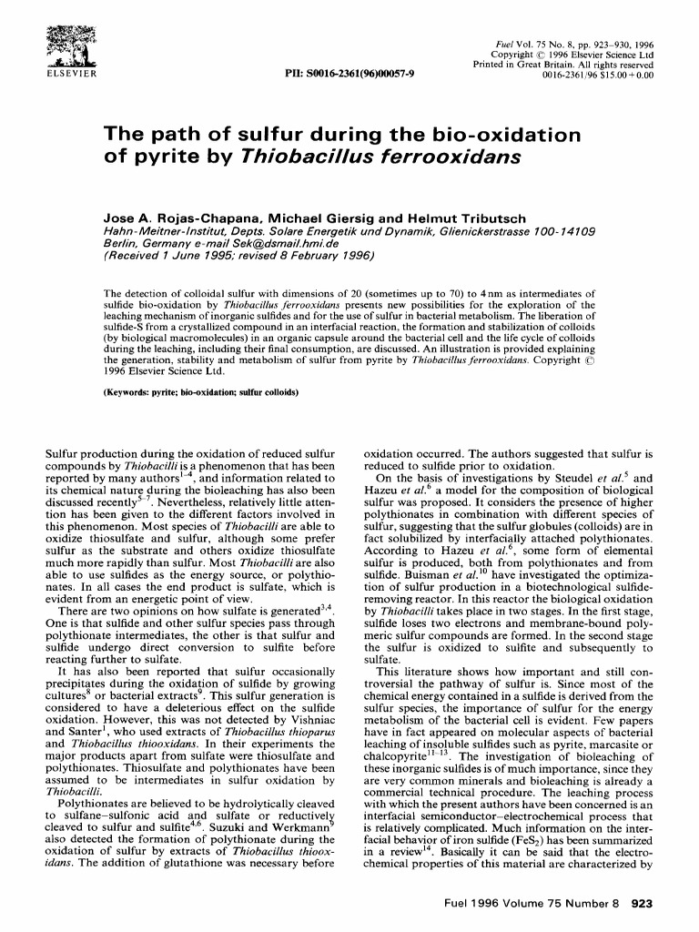 The Path of Sulfur During Bio-Oxidation of Pyrite by Thiobacillus ...
