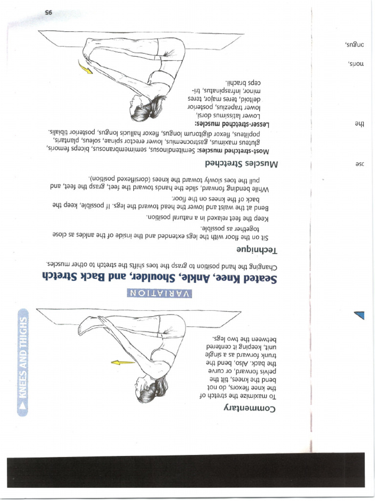 Glutes and Hamstring Stretch 3 | PDF