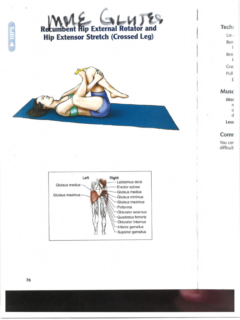 Glutes Stretch 1 | PDF