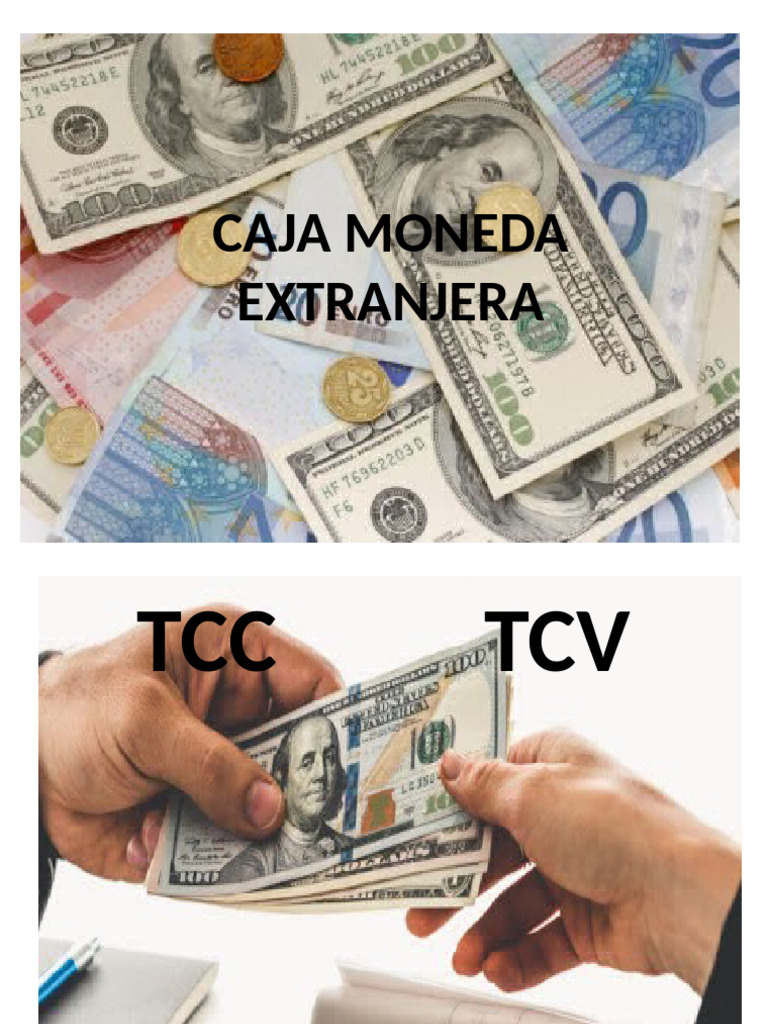 Caja Moneda Extranjera | PDF