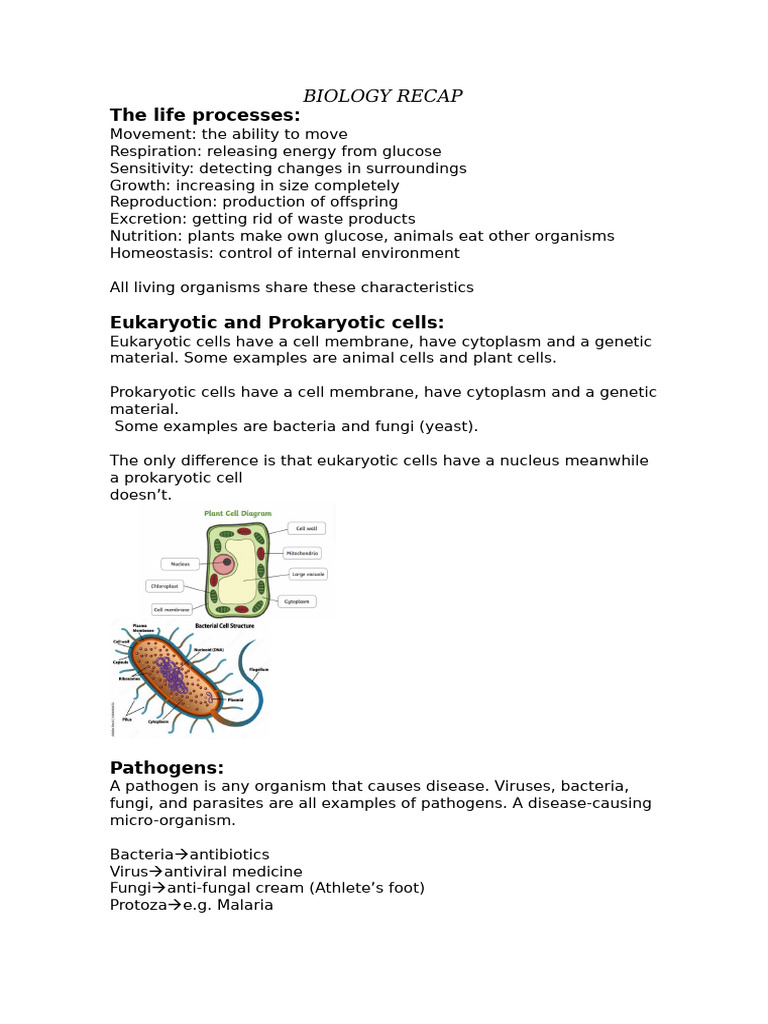 BIOLOGY RECAP | PDF | Digestion | Cell (Biology)