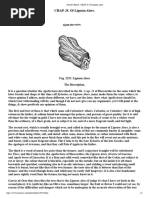 Marsupialization of Bartholin Cyst and Abscess - ACOG 2023 | PDF ...
