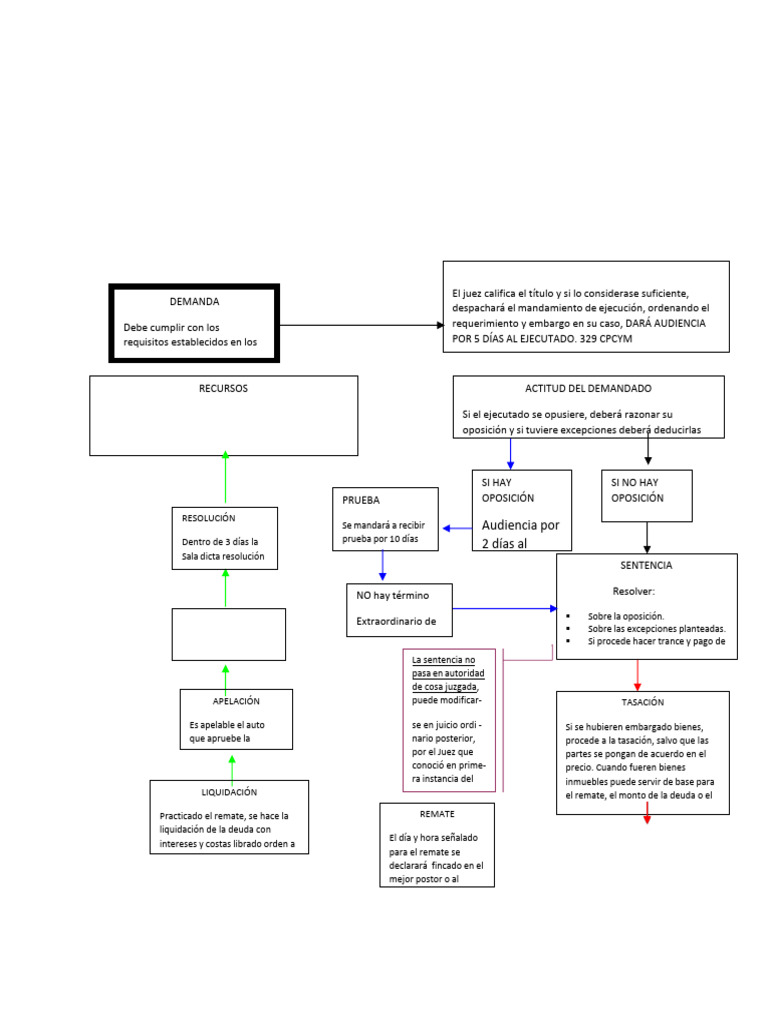Esquema Del Proceso Ejecutivo | PDF | Sentencia (ley) | Ley Pública