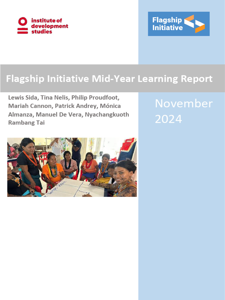 Flagship Initiative Mid Year Learning Report FINAL 141124 | PDF ...