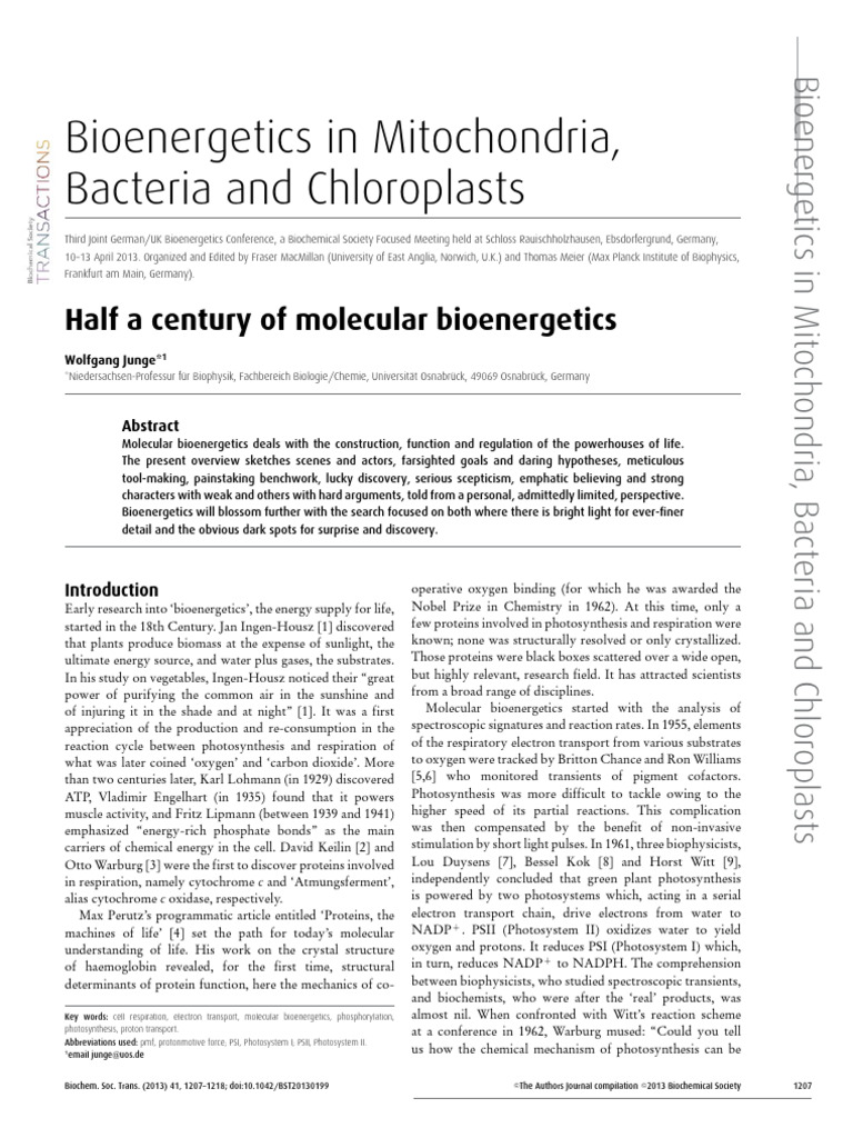 Bioenergetics in Mitochondria and Plants | PDF | Photosynthesis ...