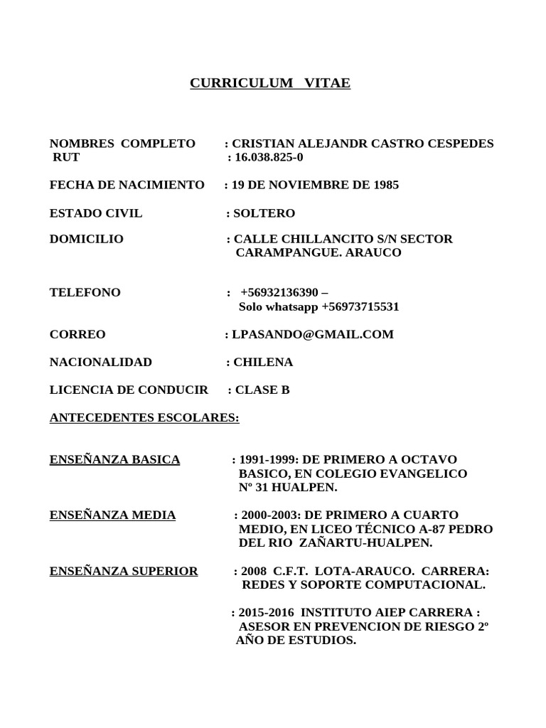 3curriculumvitae 2024 | PDF