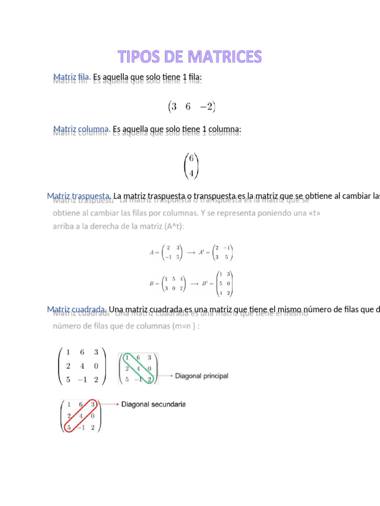 TIPOS DE MATRICES | PDF