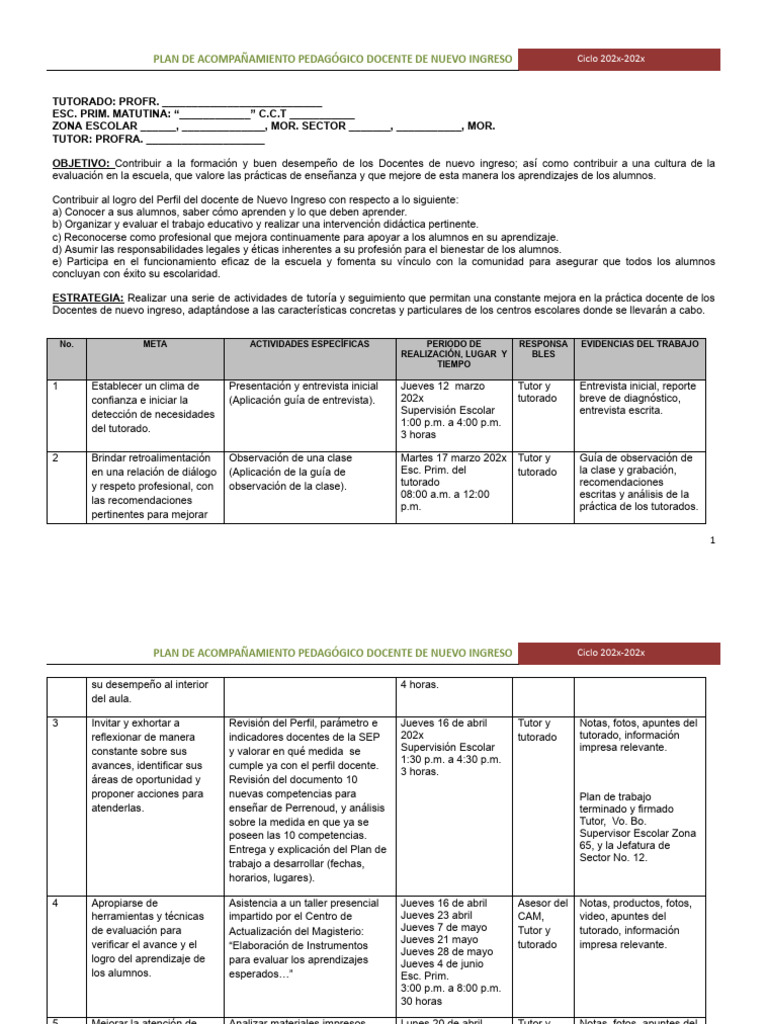 Ejemplo de Plan de Acompañamiento Pedagógico Docente Nuevo Ingreso ...
