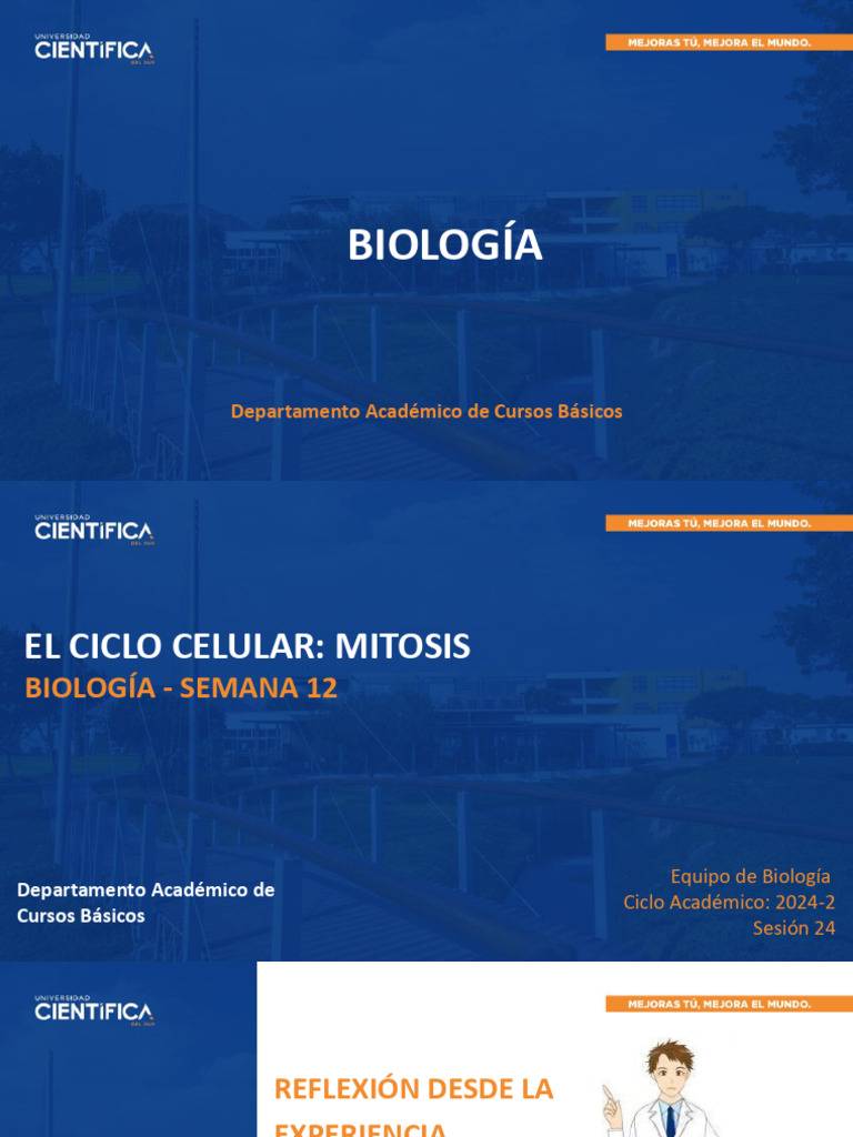 Mitosis y Ciclo Celular en Biología | PDF | Mitosis | Ciclo celular