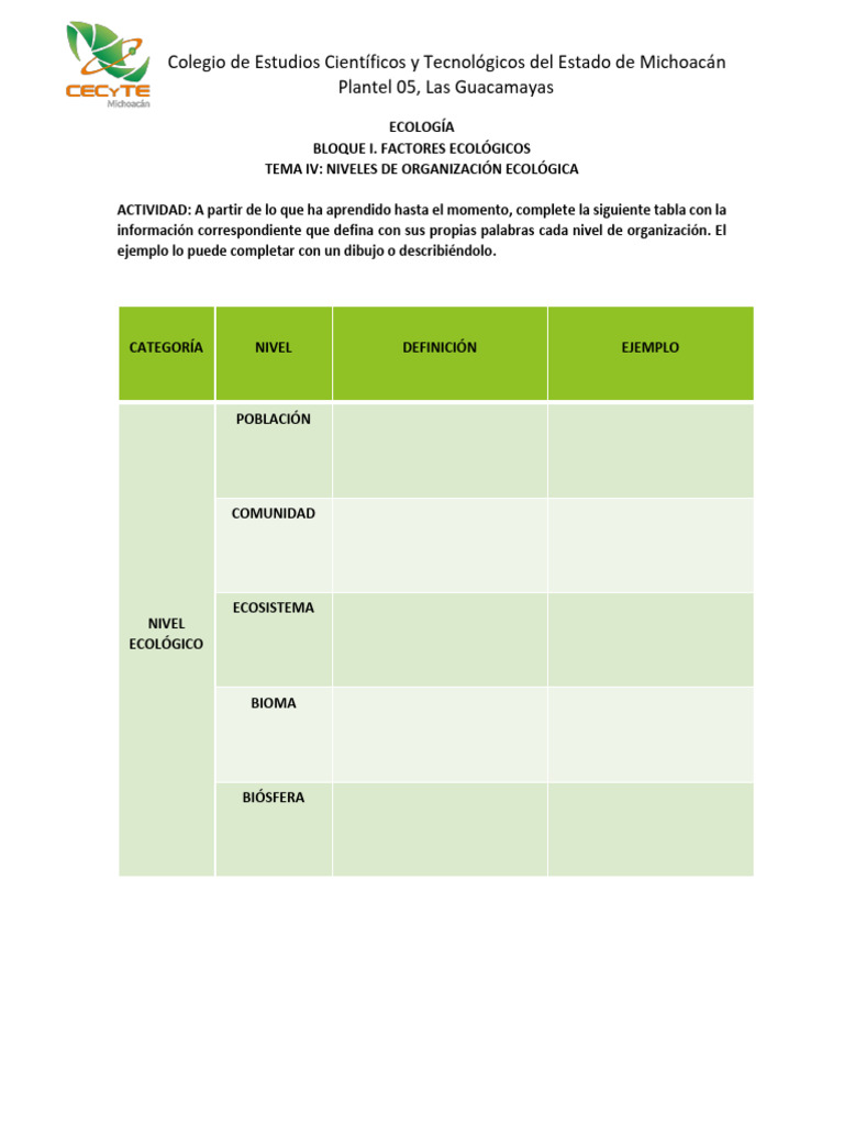 B1-Actividad Iv-0223 | PDF
