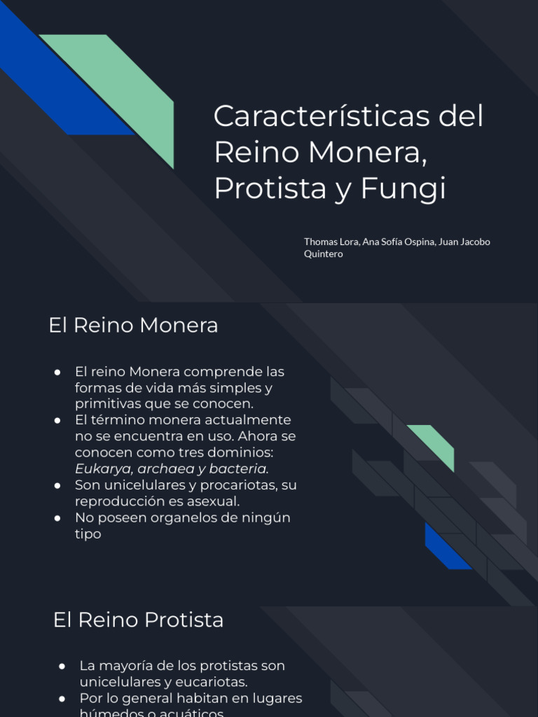 Características Del Reino Mónera, Protistas y Fungi | PDF