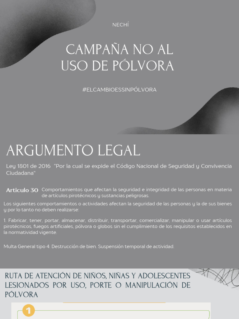 Presentacion Polvora | PDF