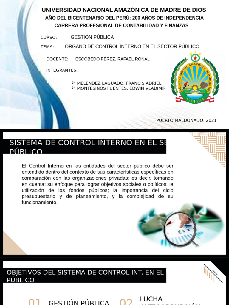 SESION N° 26 - ÓRGANO DE CONTROL INTERNO EN EL SECTOR PÚBLICO | PDF | Administración Pública ...