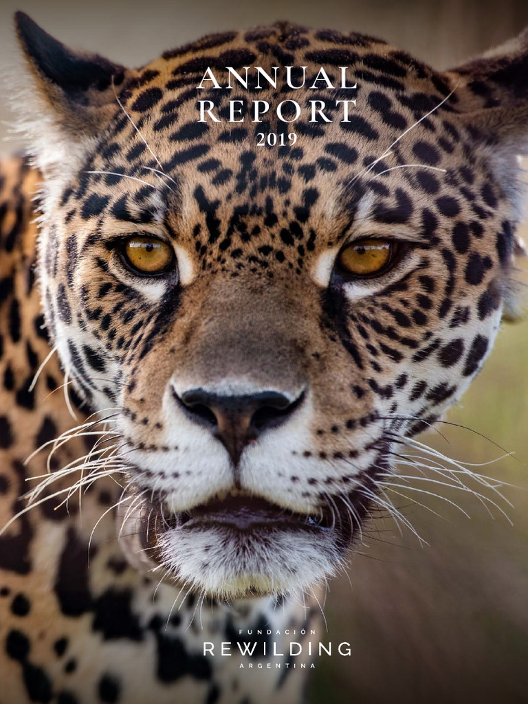 Ra 2019 Annual Report | PDF | Ecology | Natural Environment