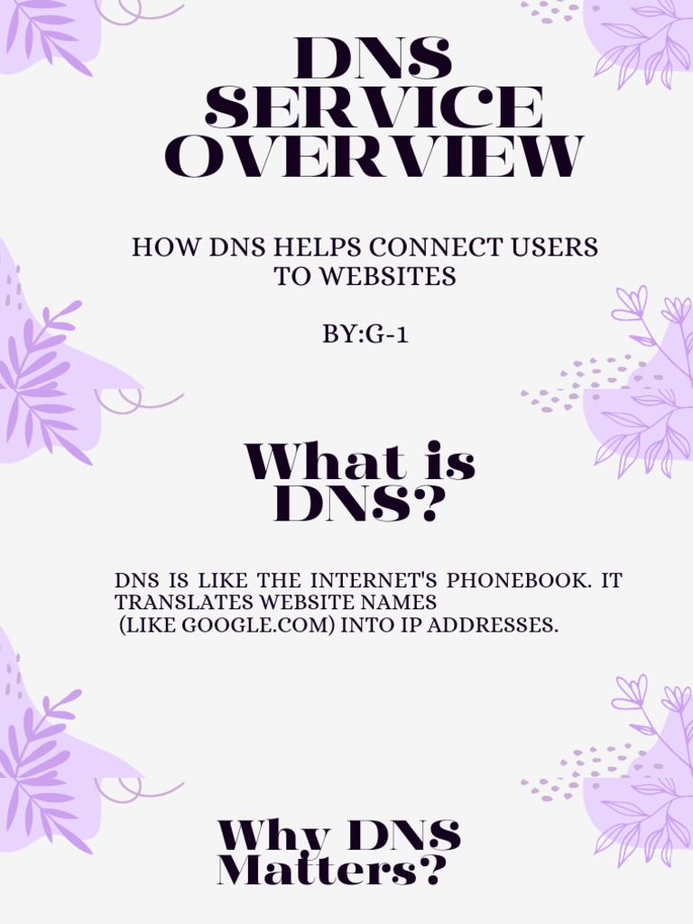 Dns Report | PDF