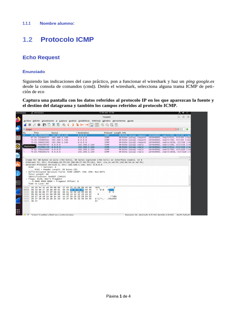 Análisis de Tráfico ICMP con Wireshark | PDF