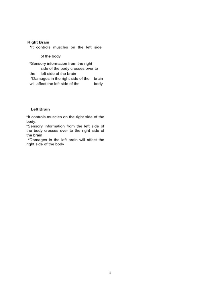 Right Brain | PDF