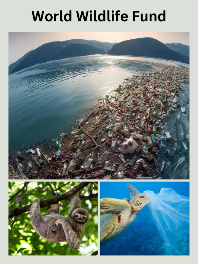 httpsexport-download.canva.comal2s4DAGD57al2s4240-2941277603135190349 ...